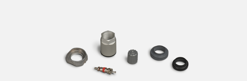 Alligator TPMS | Alligator Valves